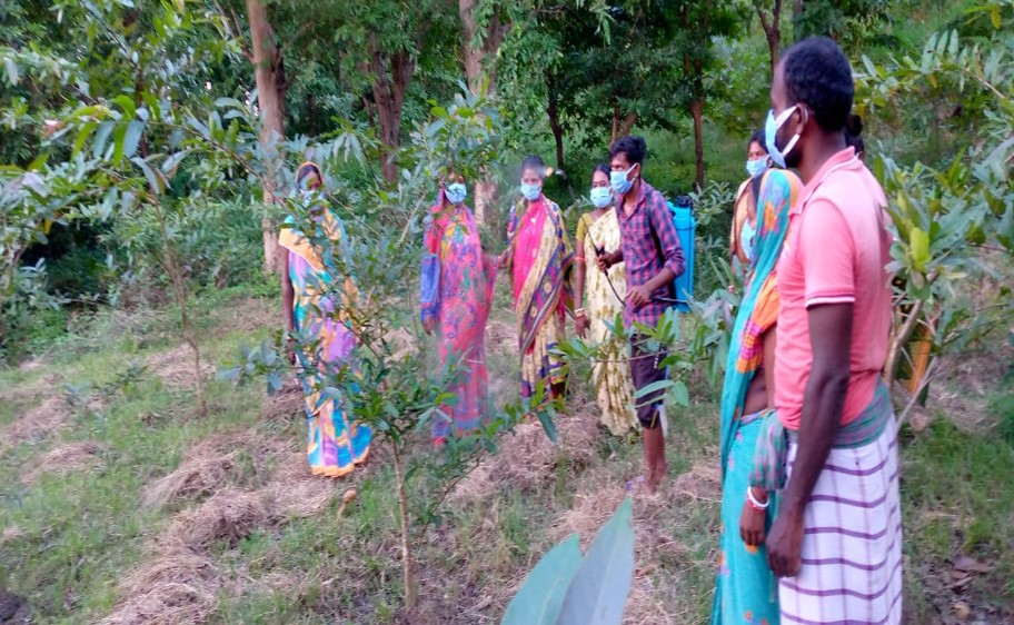 Around 1000 farmers benefit from Tasar Project of Tata Steel Foundation ...